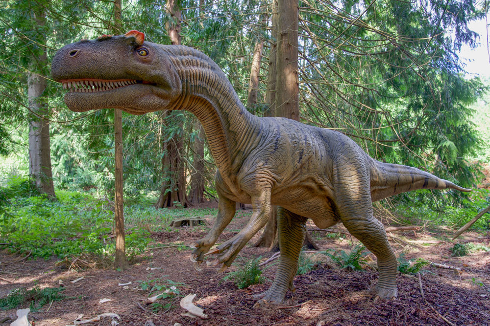 Dinosaurs Return | Squam Lakes Natural Science Center