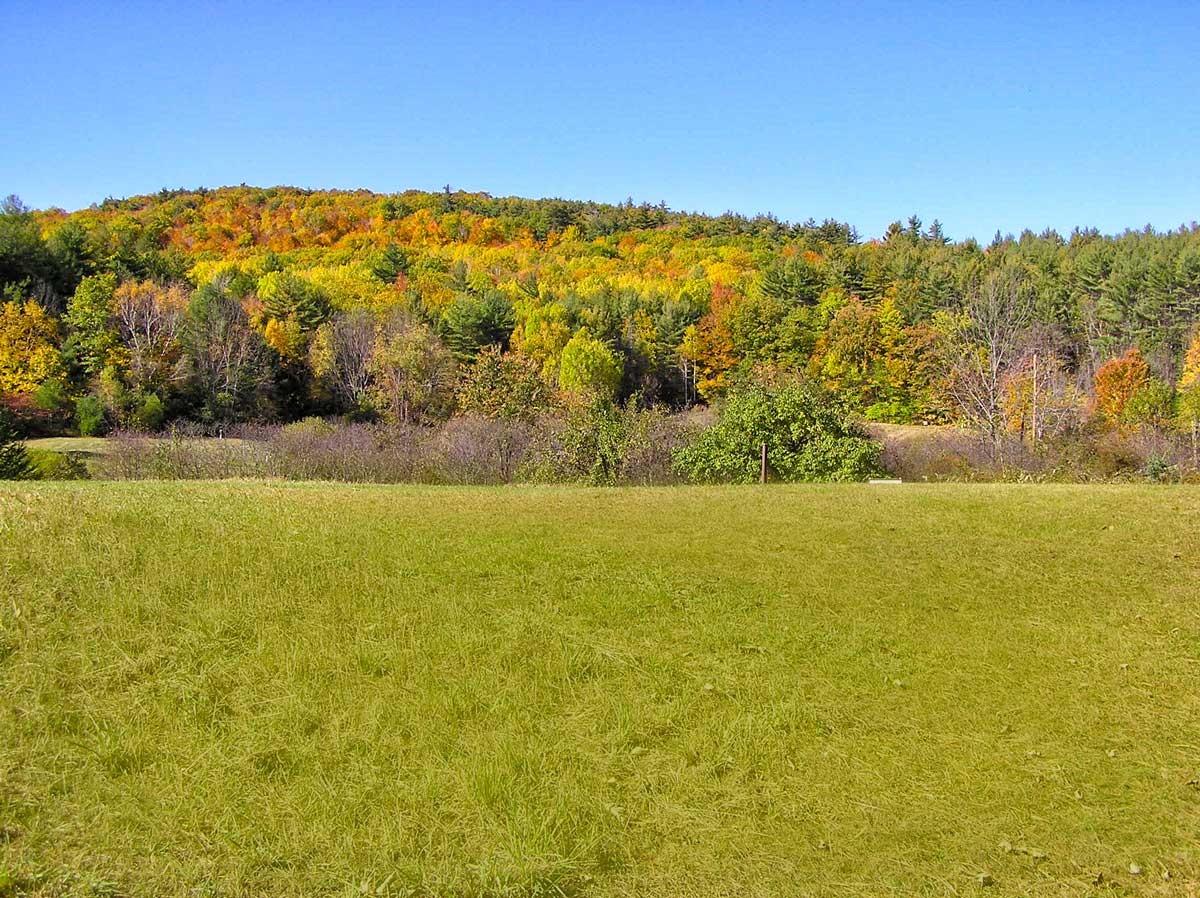 Science Center Weddings and Receptions | Squam Lakes Natural Science Center