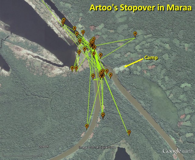 Project OspreyTrack: Artoo Map | Squam Lakes Natural Science Center