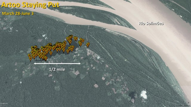 Project OspreyTrack: Artoo Map | Squam Lakes Natural Science Center