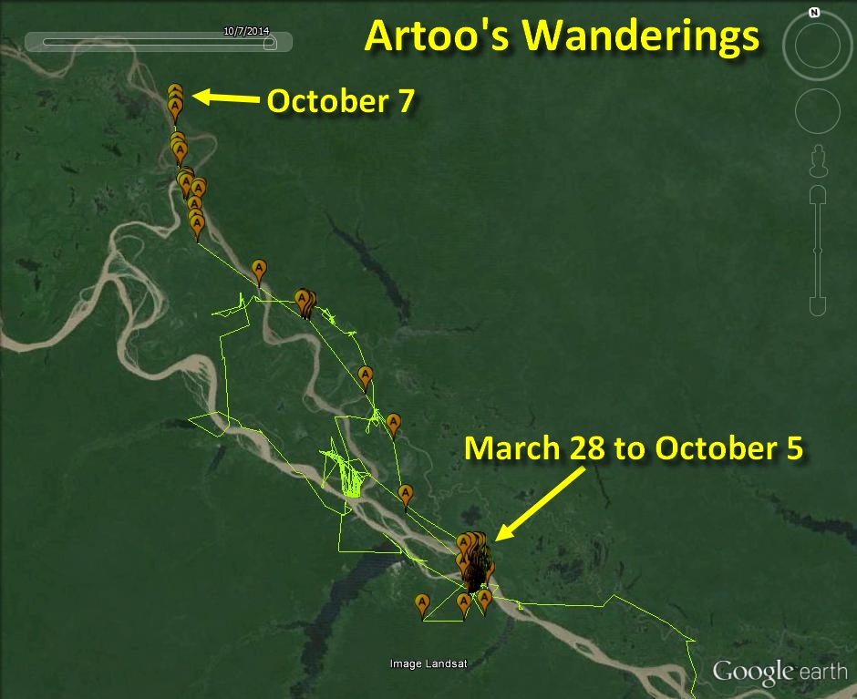 Project OspreyTrack: Artoo Map | Squam Lakes Natural Science Center
